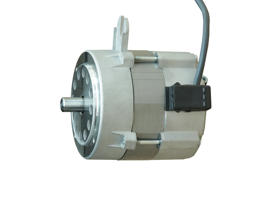 Pump motor – Runner Electric Technology Co. Ltd